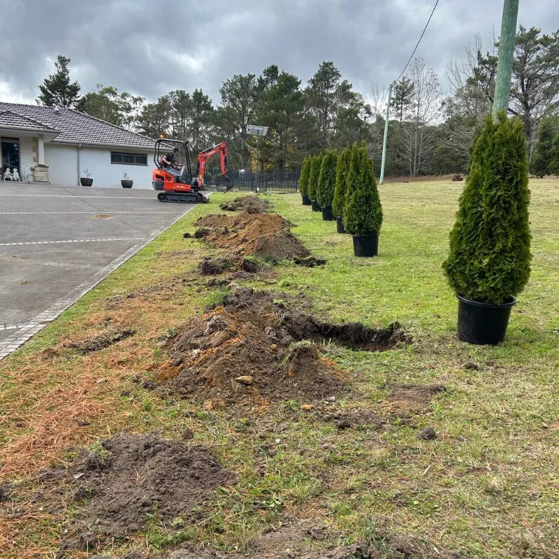 Gardening Services Central Coast | Lawn Care & Landscaping Experts
